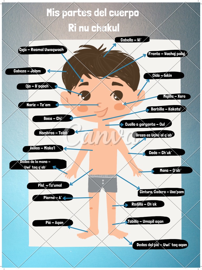 Partes Del Cuerpo en Kiche | PDF