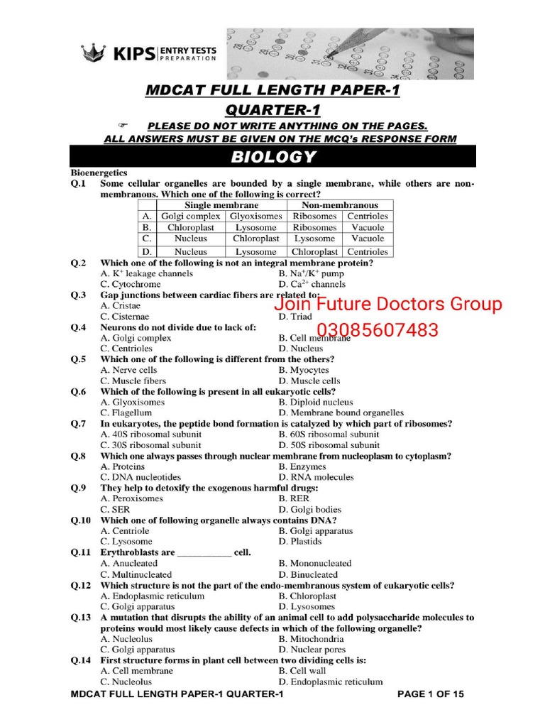 Quarter 1 Kips | PDF