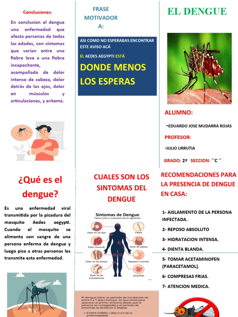Triptico Del Dengue | PDF