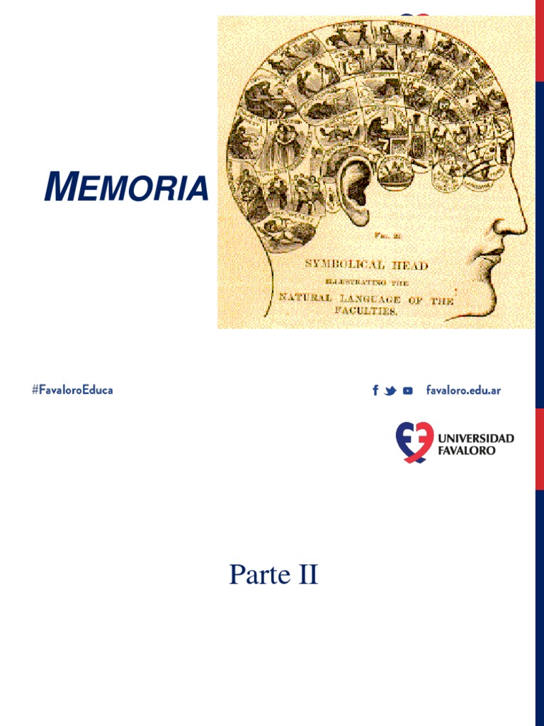 Favaloro Neurociencias Clase12 | PDF | Memoria | Neurociencia