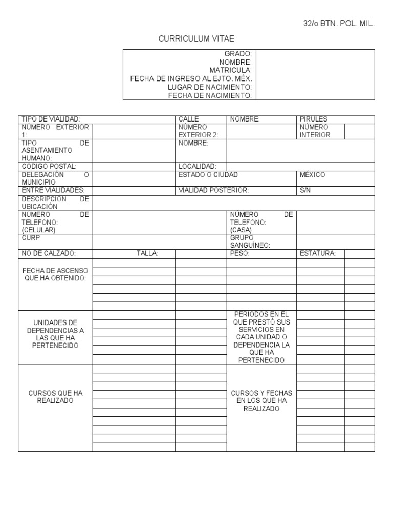 CV Soldado | PDF