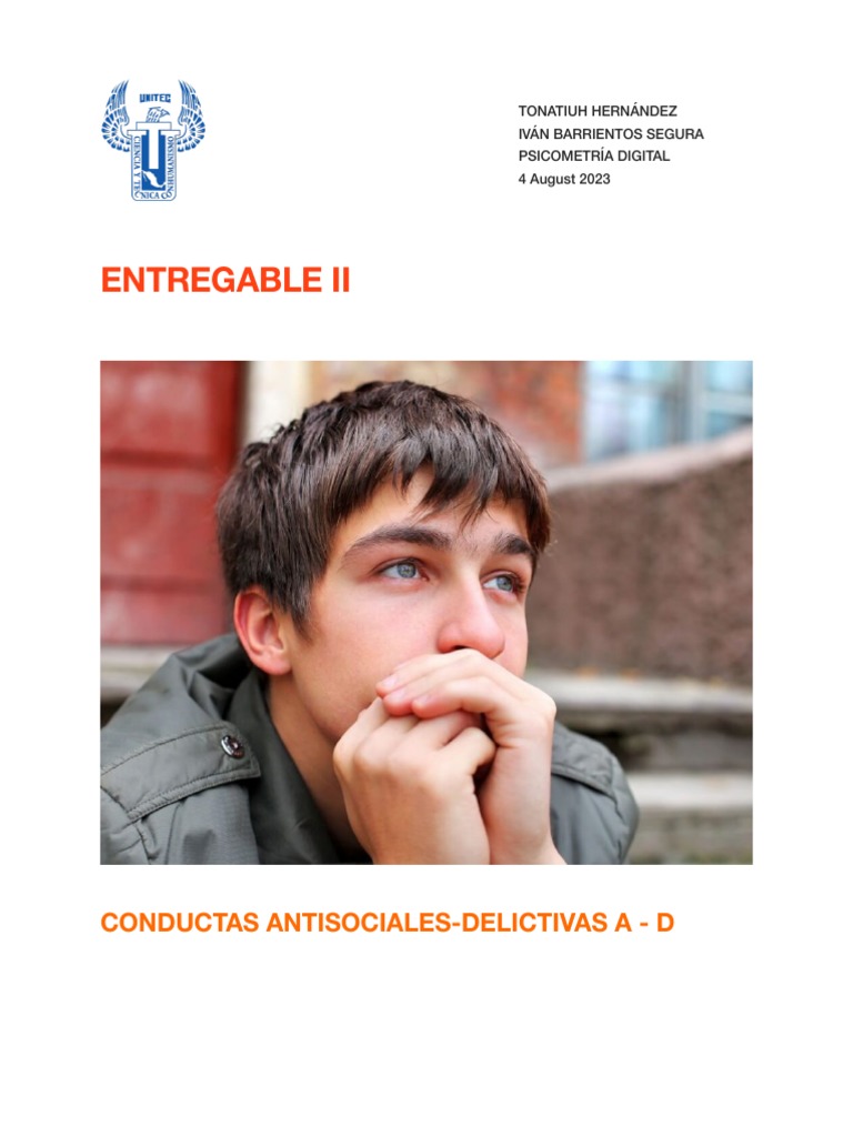 Entregable II - Psicometria Digital | PDF