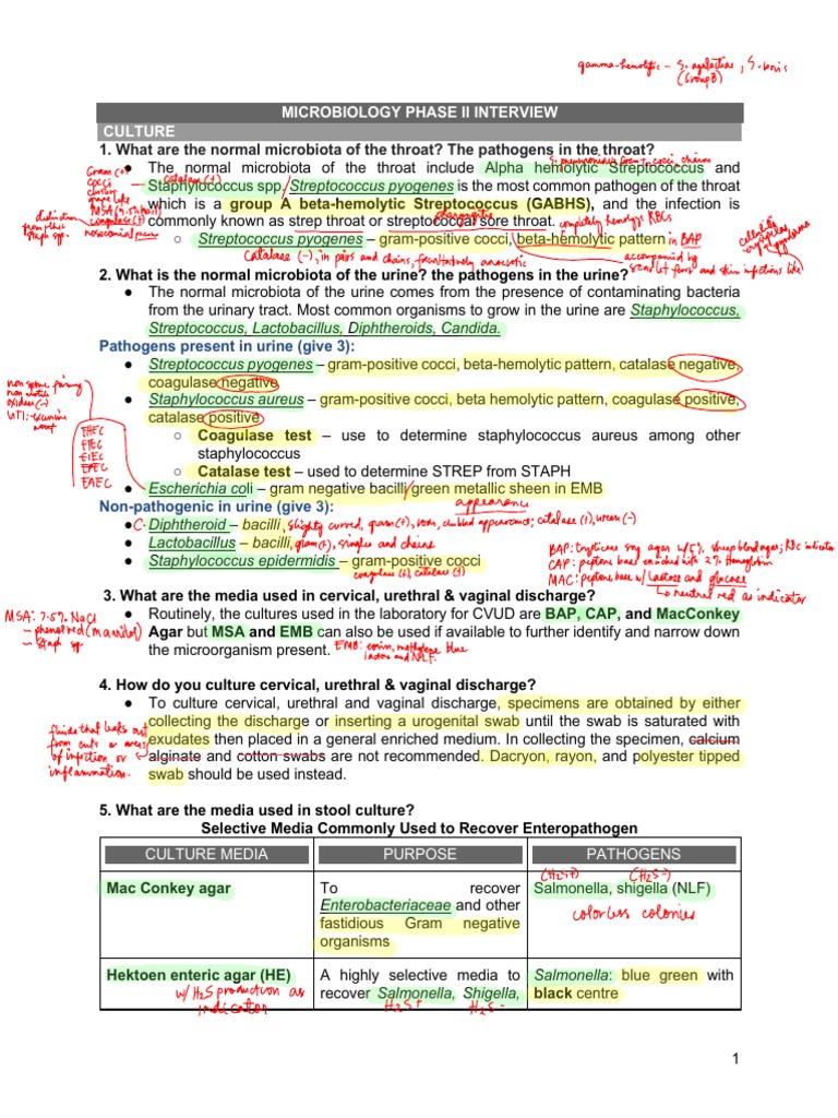 Interview Questions Microbio Phase II Updated | PDF | Streptococcus ...