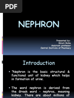 Label The Nephron Worksheet | PDF
