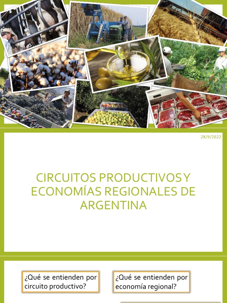 Circuitos Económicos y Economías Regionales | Descargar gratis PDF | Business | Economias