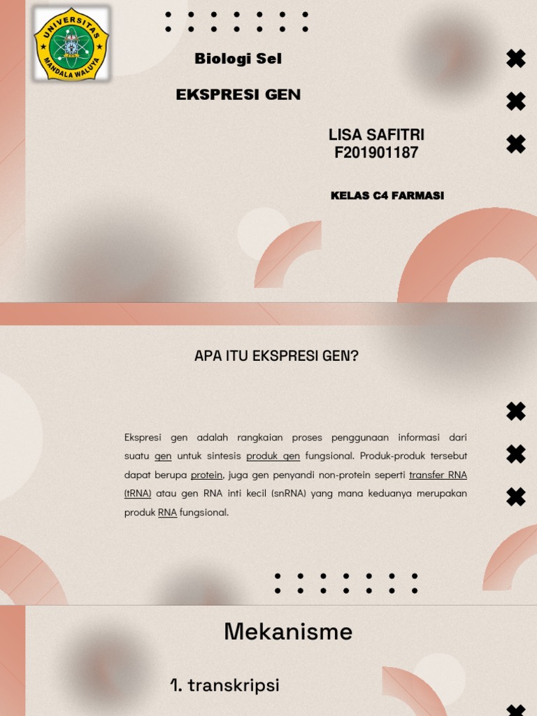 Regulasi Ekspresi Gen dan Sintesis Protein | PDF | Sains & Matematika