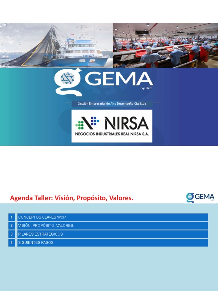 Visión, Propósito, Valores NIRSA | PDF | Indicador de rendimiento | Liderazgo