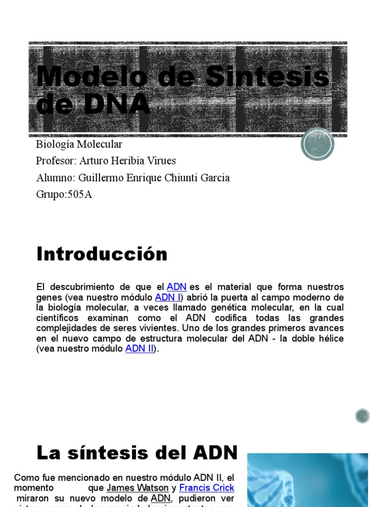 Diapositivas Modelo de Sintesis de DNA (ADN) | Descargar gratis PDF ...