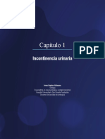 Cuestionario ICIQ-SF de Incontinencia Urinaria | PDF