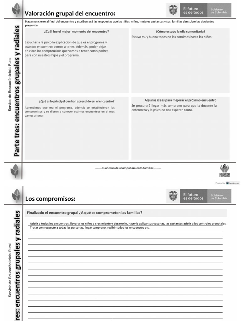 Valoración Encuentro Grupal | PDF
