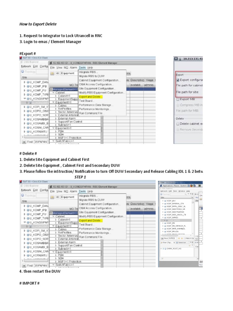 How To Export Delete and Delete F2 | PDF