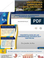 Anatomia, Irrigacion, Inervación Del Esofago y Estomago | PDF ...