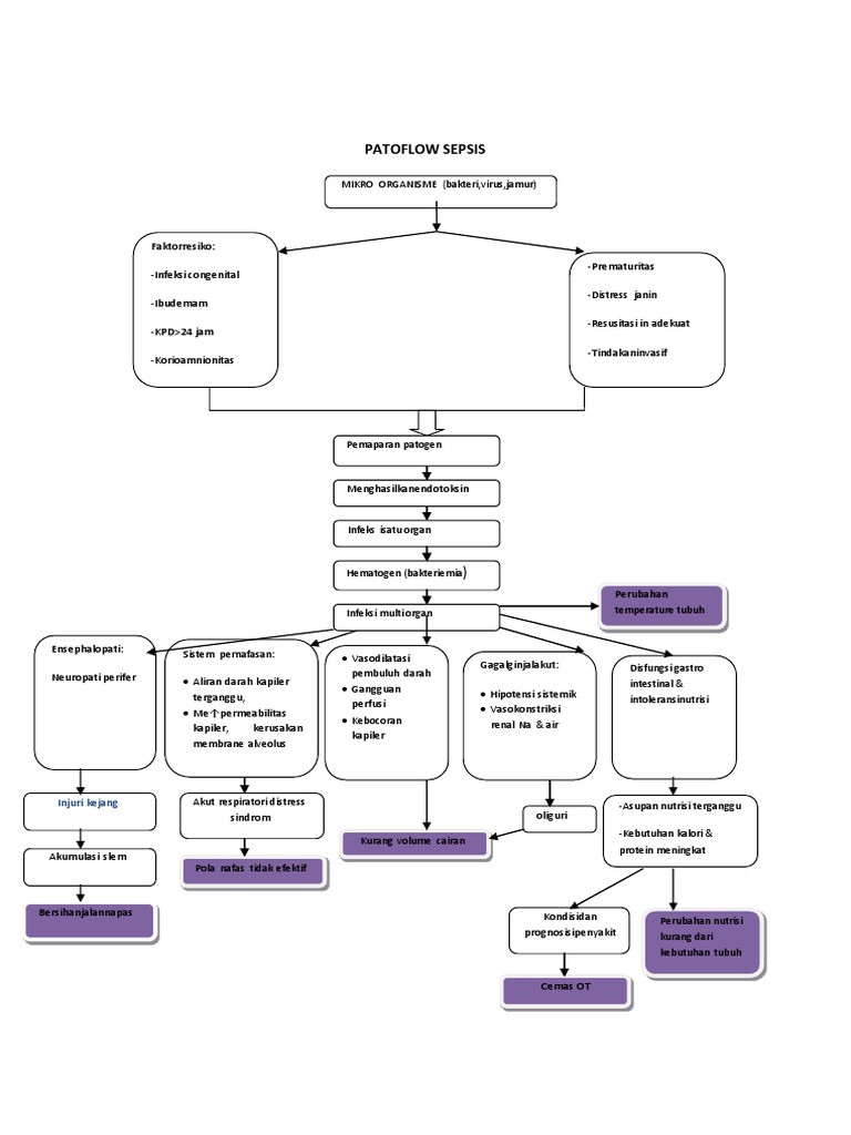 Pathway Sepsis Neonatorum | PDF