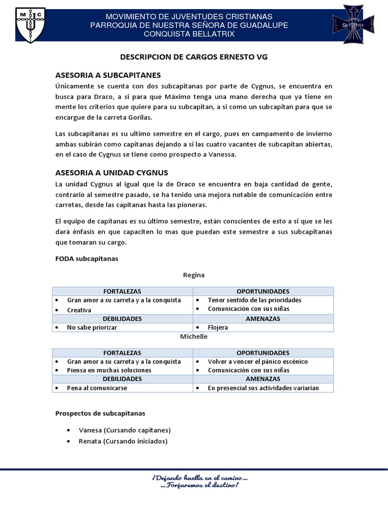 Descripcion de Cargos | PDF
