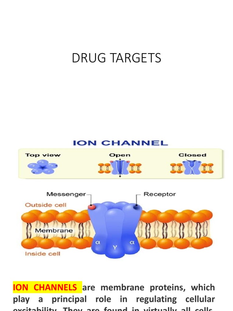 ION CHANNEL | PDF | Ion Channel | Membrane Potential