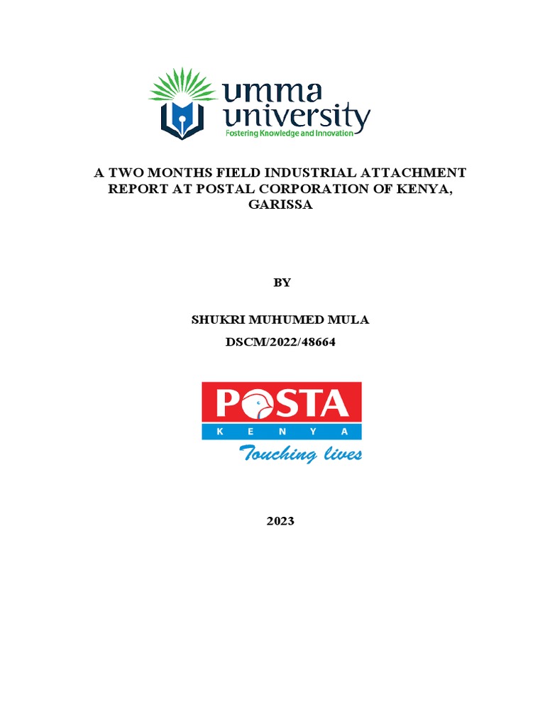 Shukri Field Industrial Attachment Report | PDF | Supply Chain | Supply ...