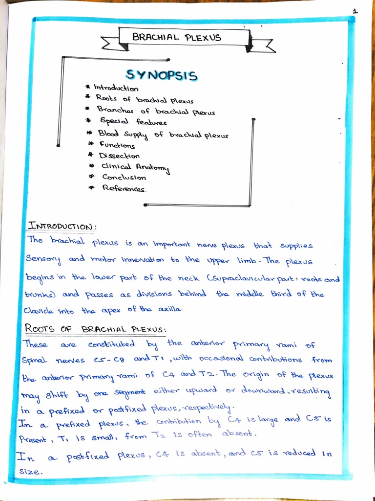 Anatomy Assignment 1 Preethika.P | PDF Anatomy Assignment 1 Preethika.P | PDF