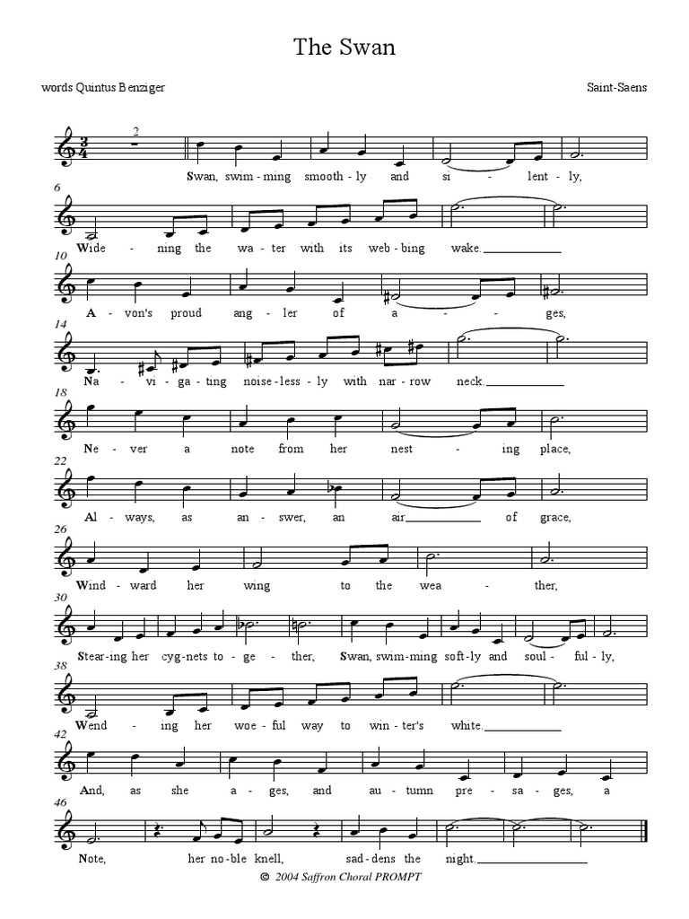 Swan | PDF