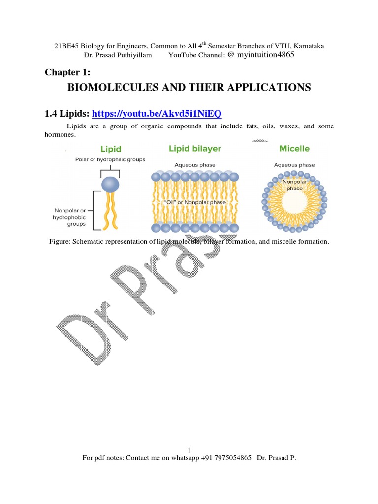 1.4 Lipids, Biology For Engineers | PDF | Biodiesel | Lipid