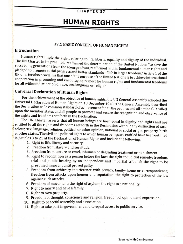 Human Rights | PDF