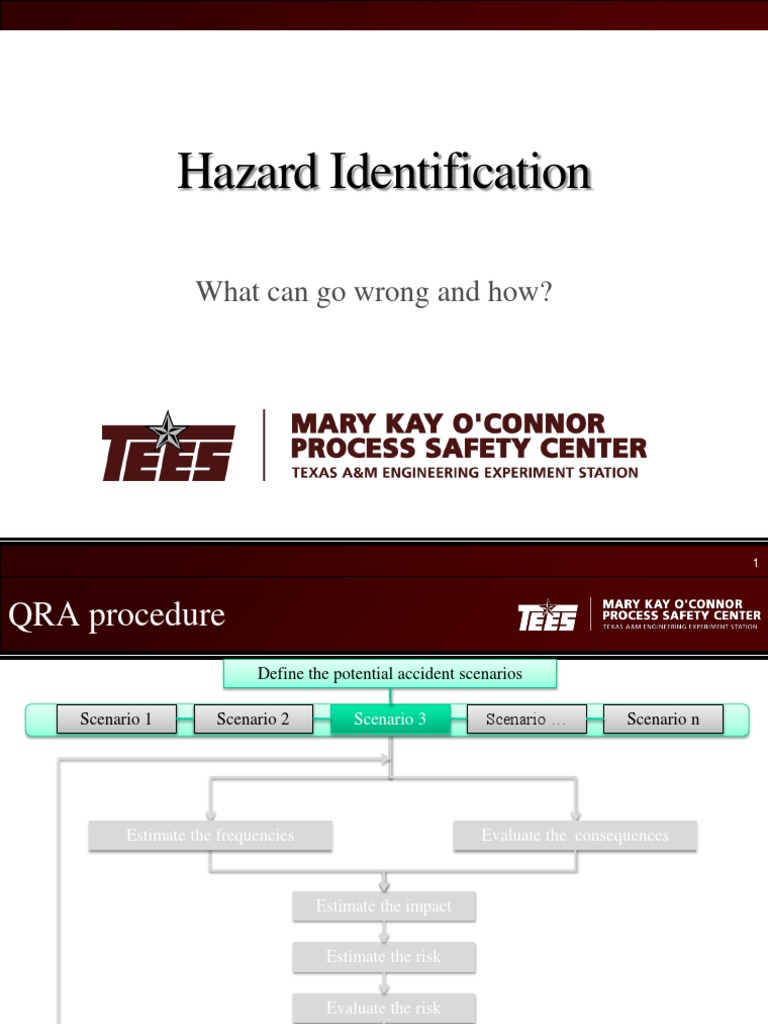 Hazard Identification Techniques 1684866053 | PDF | Risk | Hazards