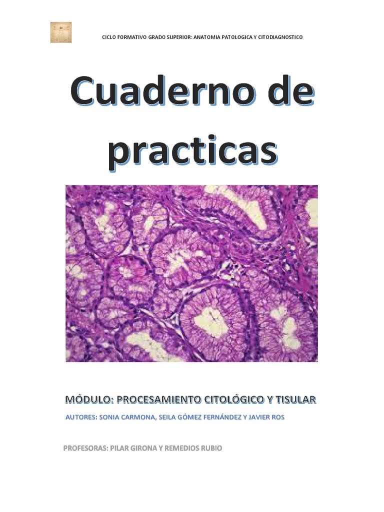 Cuaderno Reme | PDF