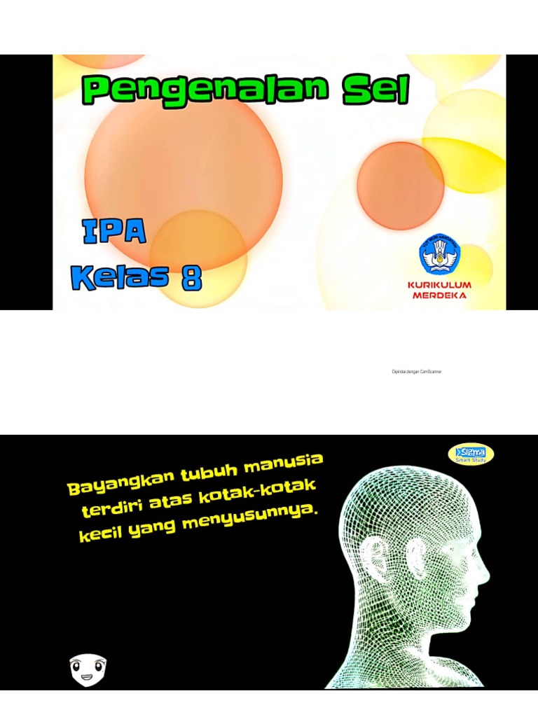 8 IPA-Sel | PDF
