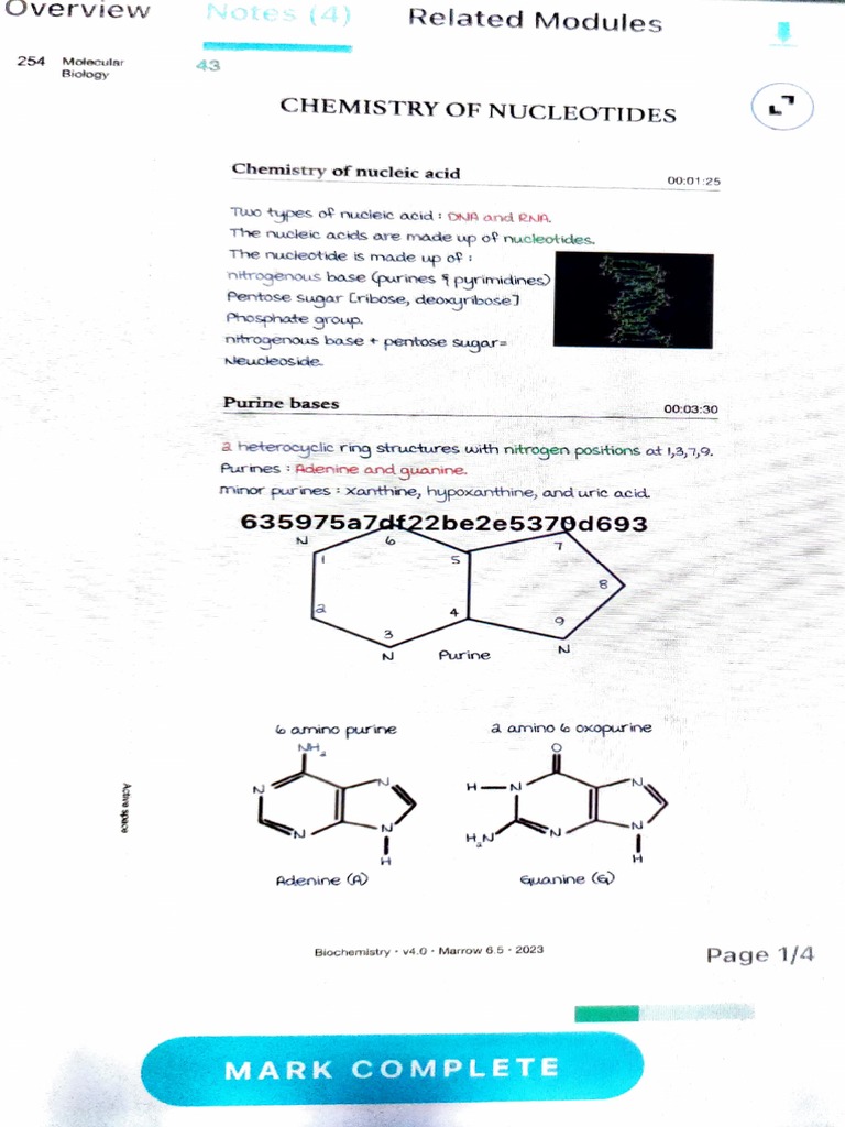 Purine Structure Numbered