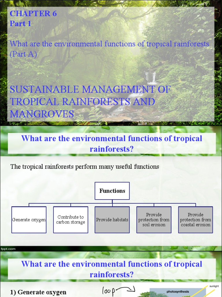 Chapter 6 Sustainable Management of Tropical Rainforests and Mangroves ...