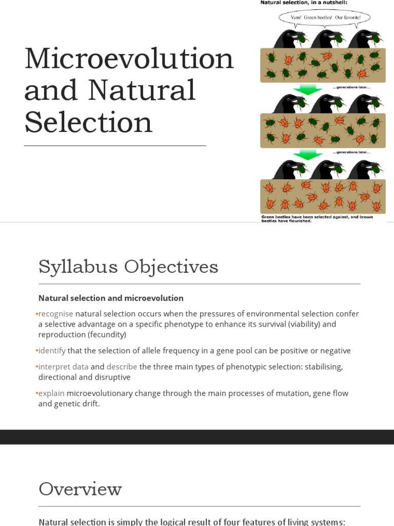 Natural Selection 2023 | PDF