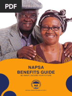 Napsa Retirement Benefit Claim Form | PDF | Pension | Justice