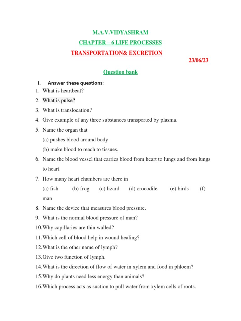 Transportation and Excretion in Biology | PDF | Kidney | Medical ...