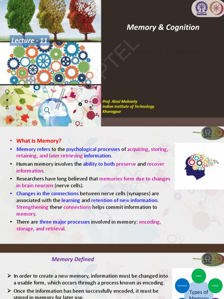 Week 3 | PDF | Memory | Recall (Memory)
