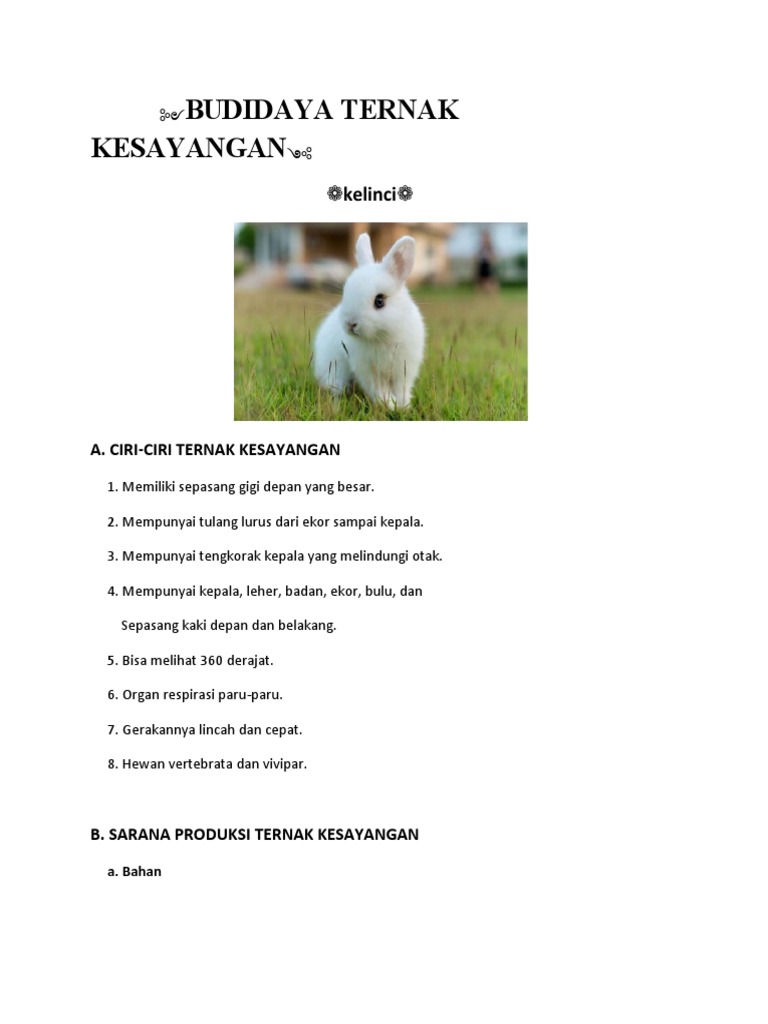 Budidaya Ternak Kesayangan-WPS Office | PDF