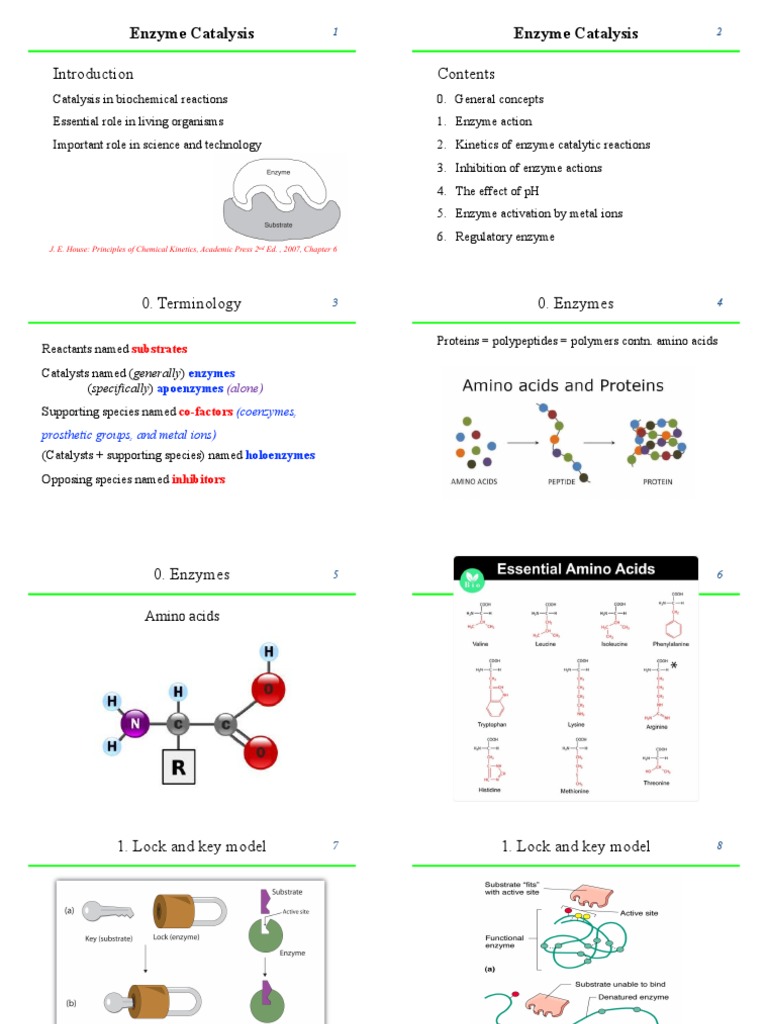 Chapter 9 - Enzyme Catalysis | PDF | Enzyme | Enzyme Inhibitor