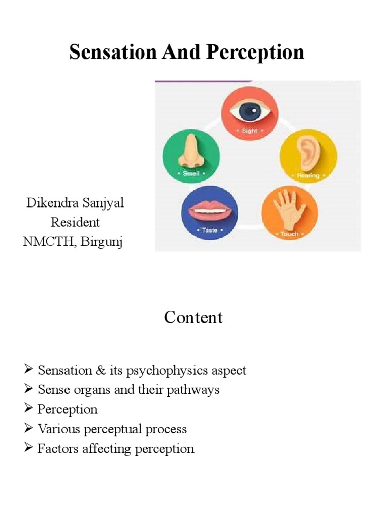 Sensory Process and Perception | PDF | Senses | Perception