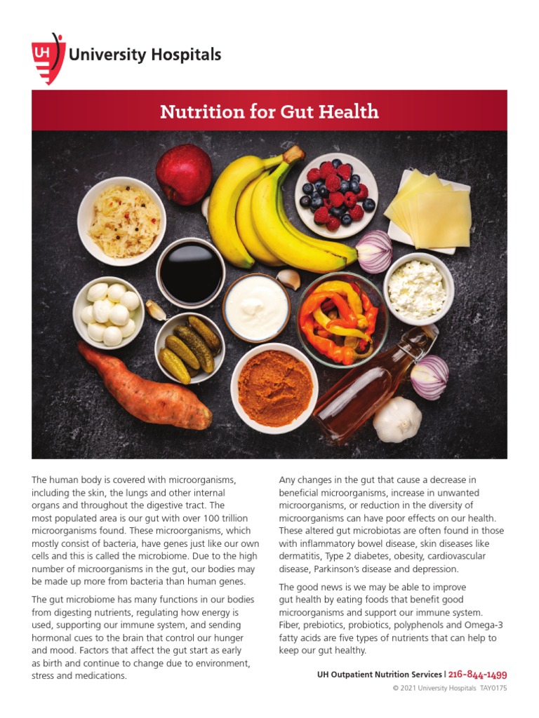 Nutrients for Optimal Gut Health | PDF | Dietary Fiber | Diet & Nutrition