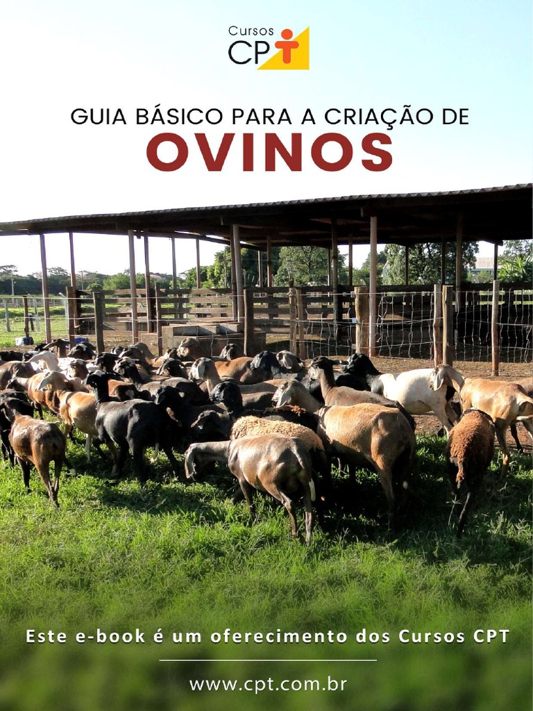E Book Guia Basico para A Criacao de Ovinos | PDF | Leite