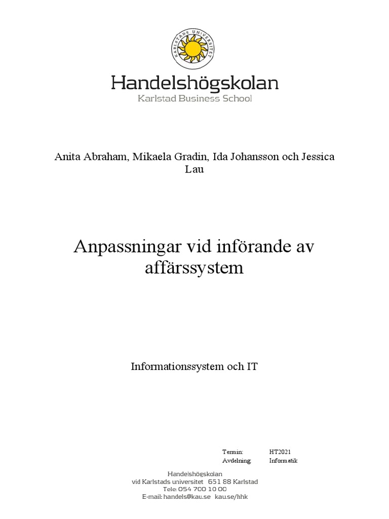 Rapport Affärssystem | PDF