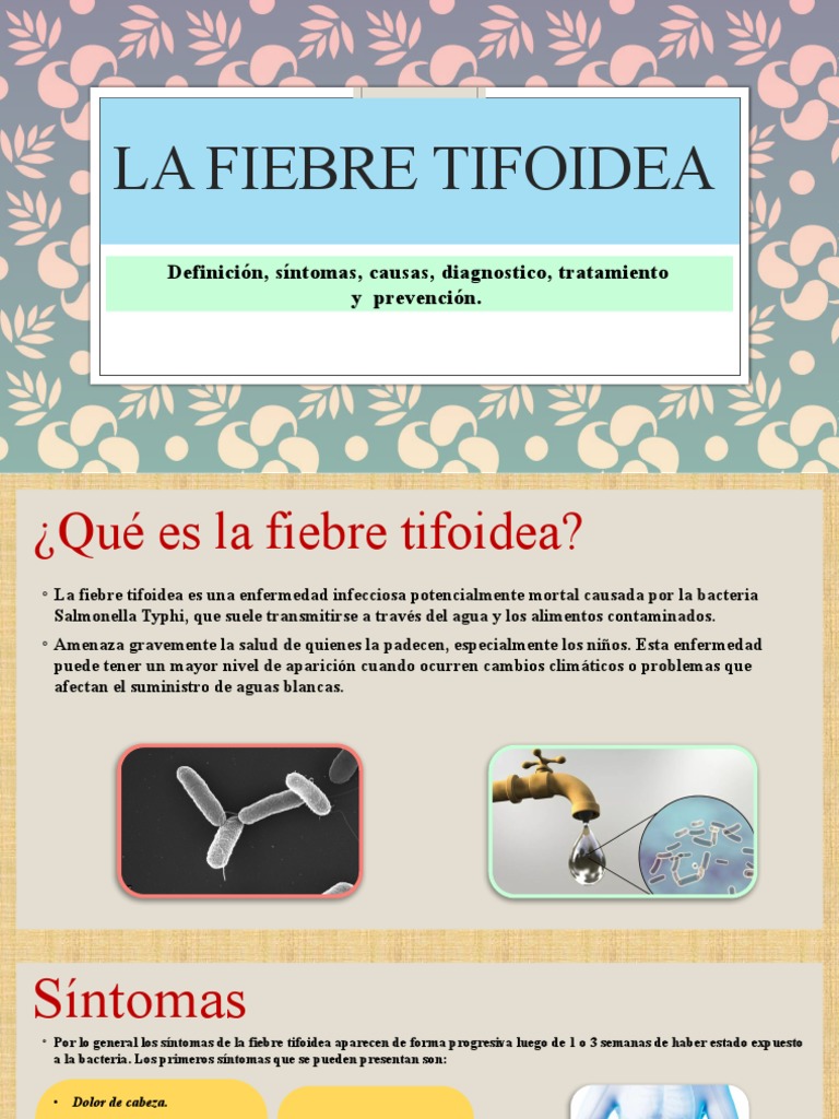 La Fiebre Tifoidea | PDF | Agua | Medicina