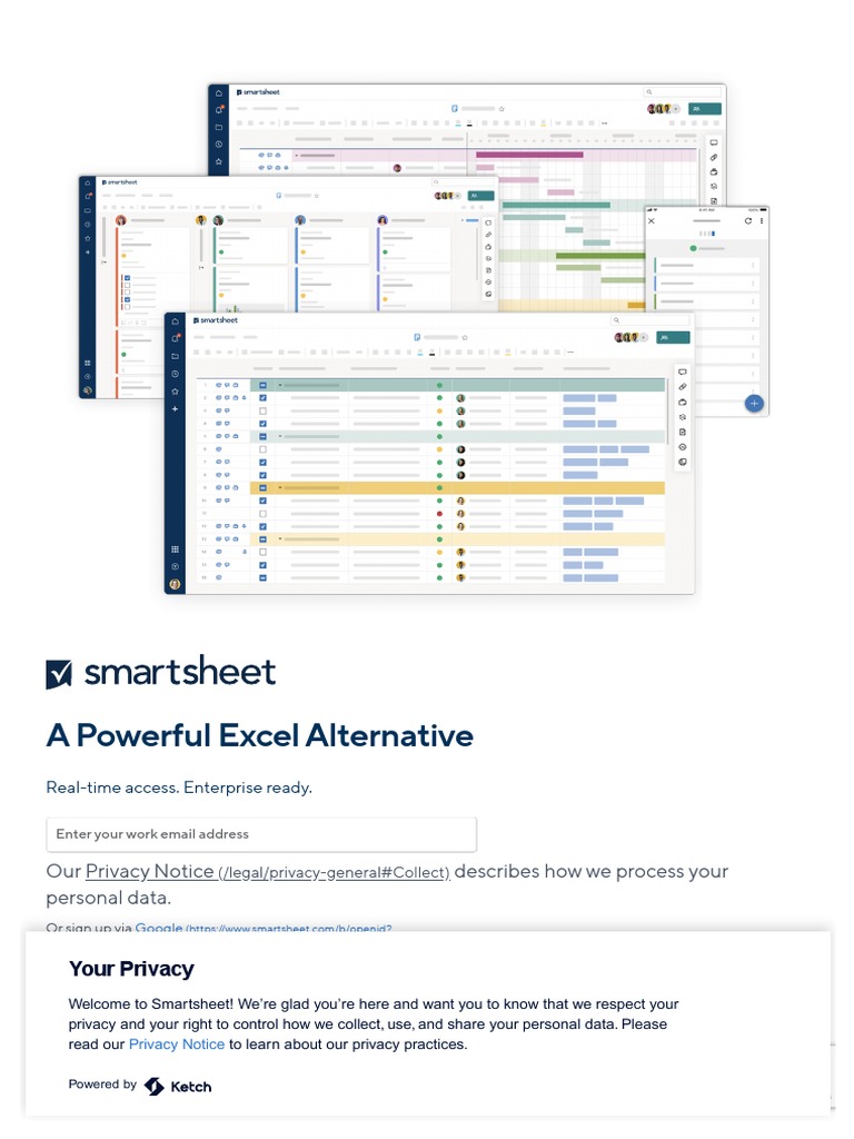 Smartsheet: Excel's Powerful Alternative | PDF | Privacy | Microsoft Excel