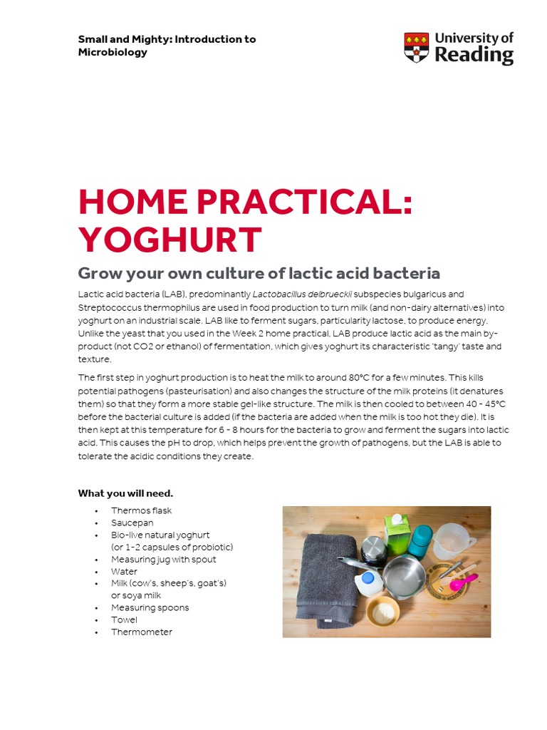 Make Your Own Yoghurt at Home | PDF