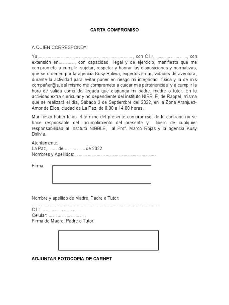 Carta Compromiso | PDF