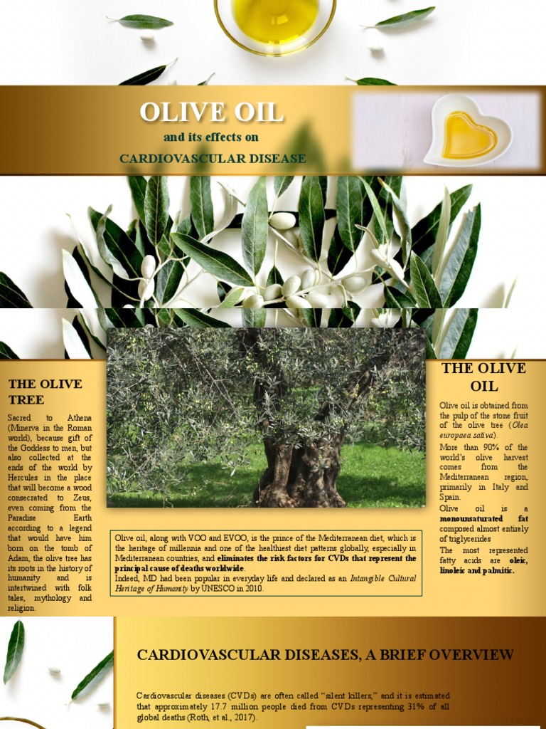 Food Chemistry Olive Oil | PDF | Olive | Olive Oil