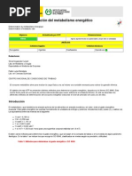 Tabla de Mets | PDF | Metabolismo | Caloría
