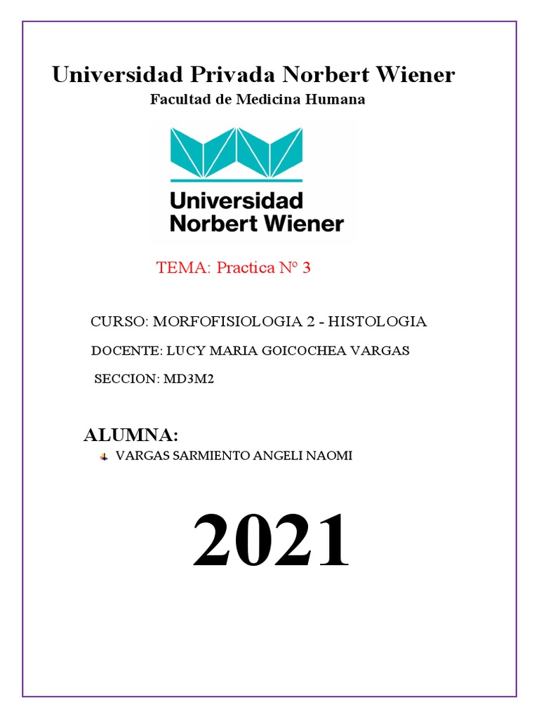 Seminario Morfo 3 | PDF