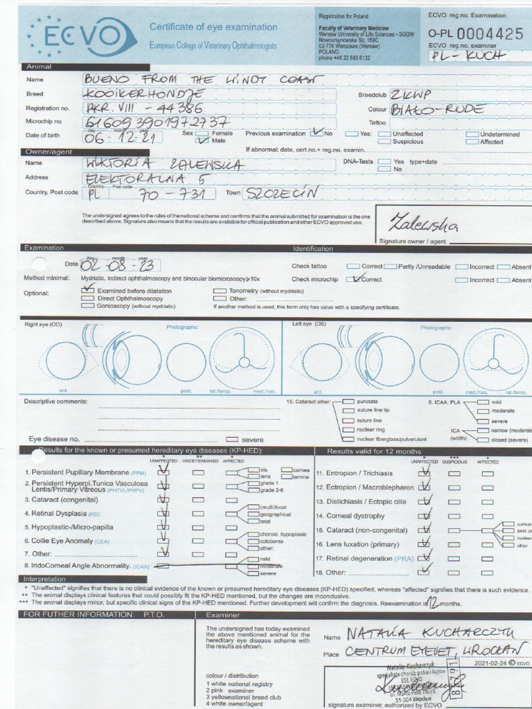 Ecvo Certificate | PDF
