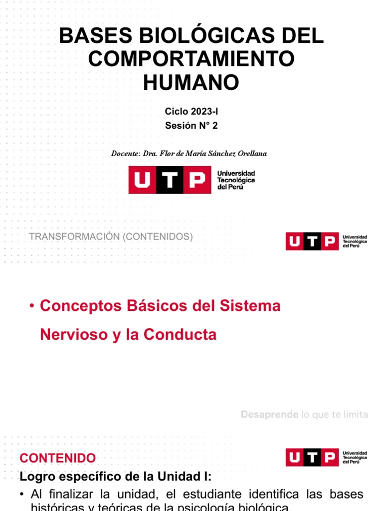 S02 - PPT Conceptos Básicos Del Sistema Nervioso y La Conducta | PDF