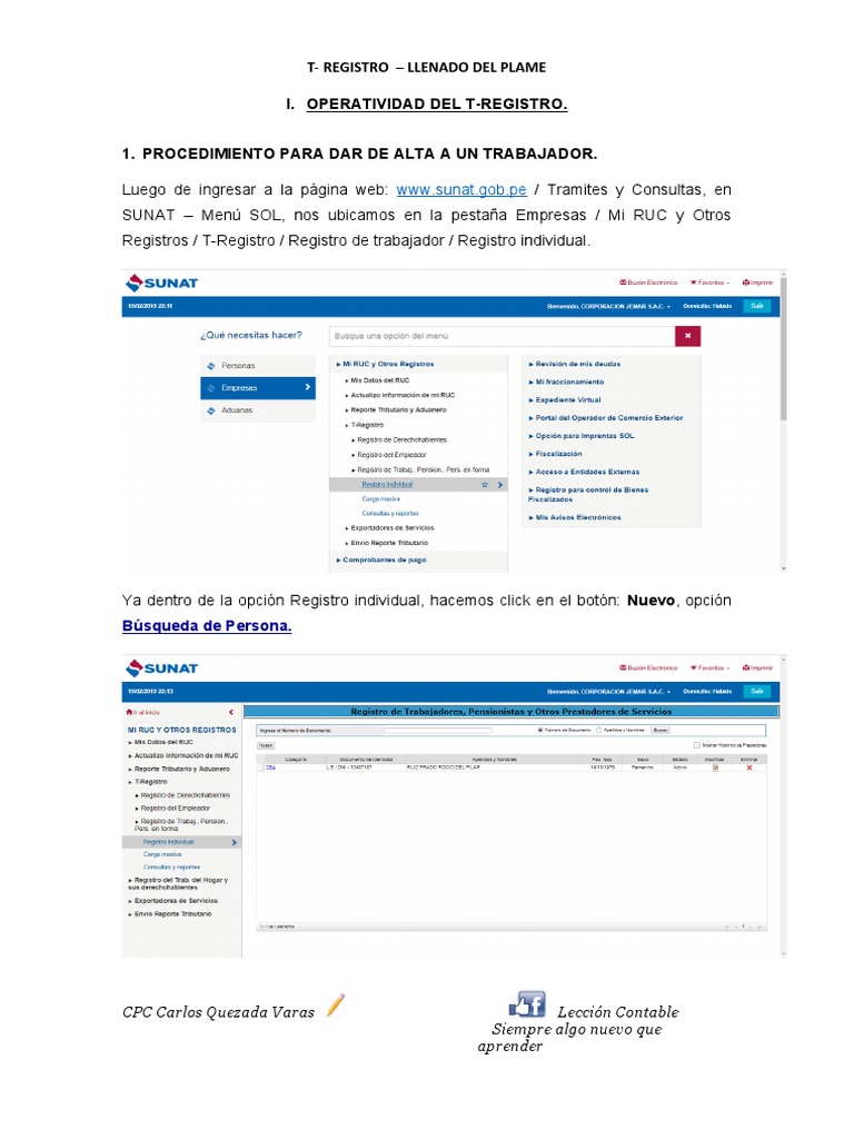 Modulo VIII - T-Registro - LLenado Del PLAME | PDF