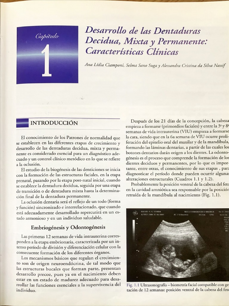 Odontopediatría Cap 1 - Libro Guedes Pinto | PDF
